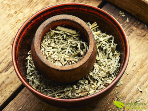 Absinto: saiba para que serve a planta | Medicina Natural