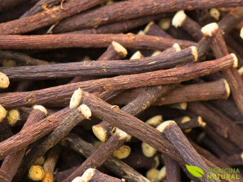 Alcaçuz: saiba para que serve a raiz | Medicina Natural