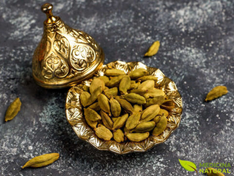 Cardamomo: saiba para que serve o chá | Medicina Natural