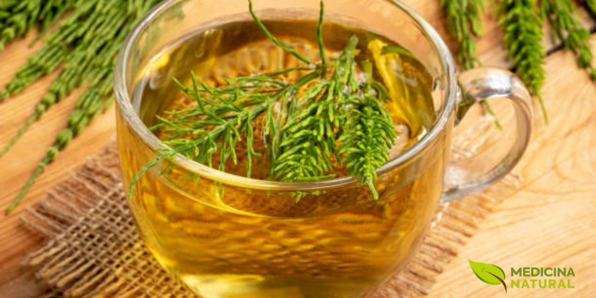 Chá de Cavalinha: O Segredo para Ossos e Cabelos Fortes