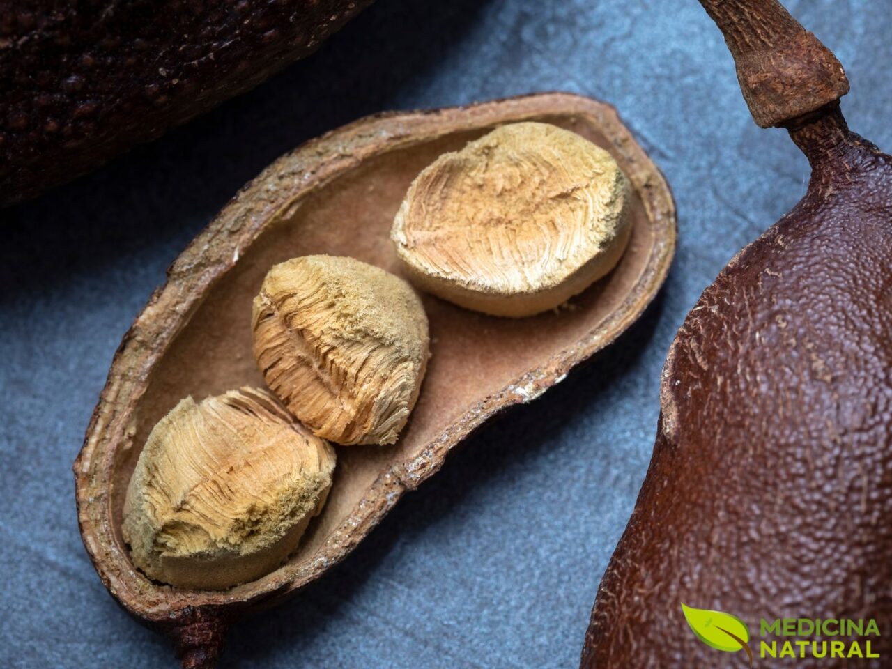 Jatobá: saiba para que serve o chá | Medicina Natural