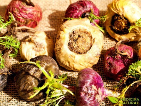 Maca-peruana: saiba para que serve a raiz | Medicina Natural