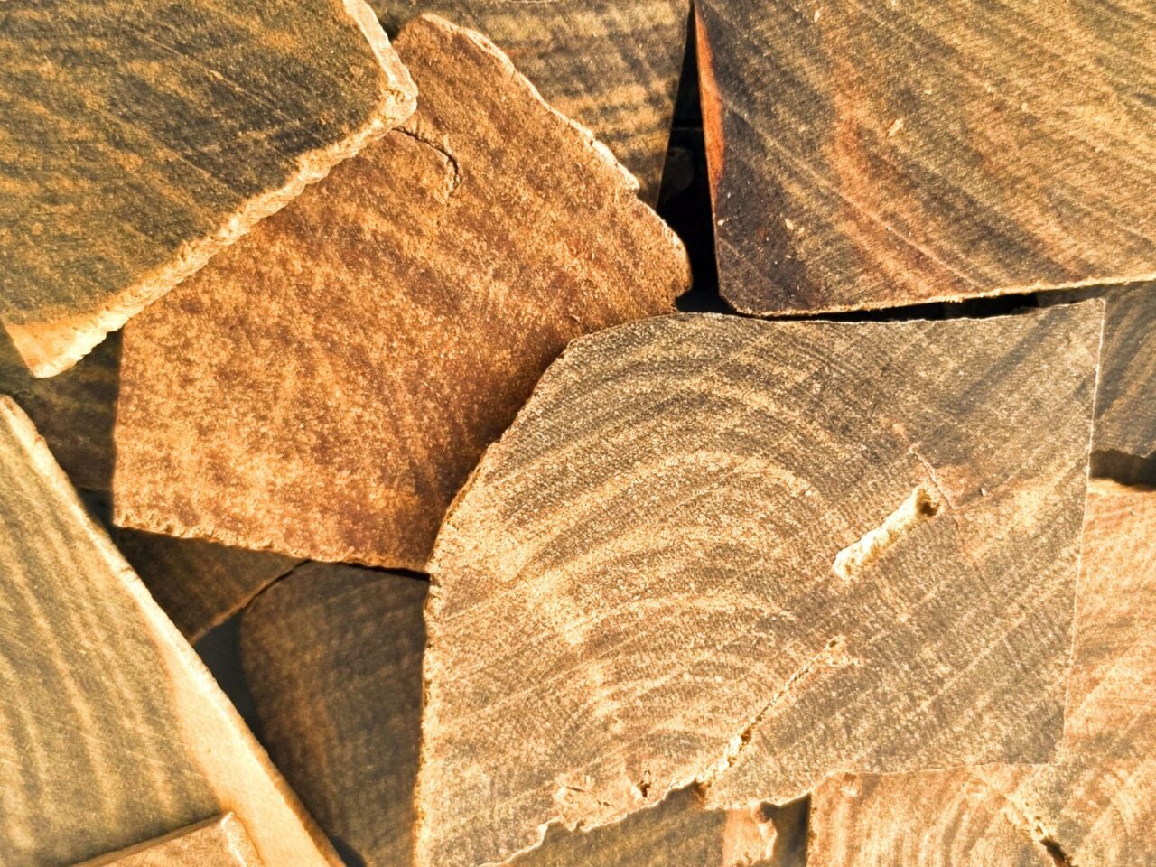 Guaiaco: saiba para que serve a madeira | Medicina Natural