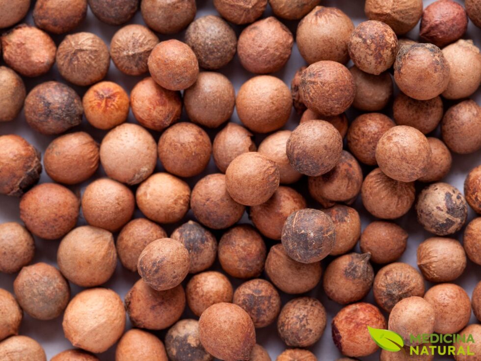 Sândalo: saiba para que serve a madeira | Medicina Natural